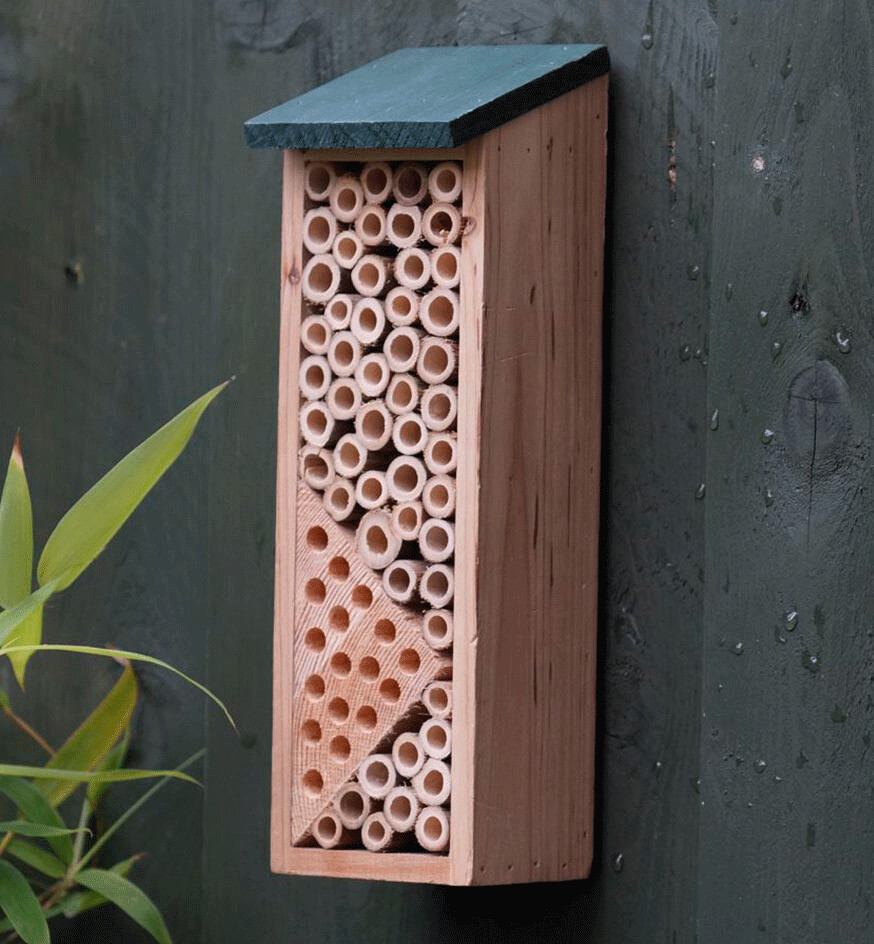 Greenkey Solitary Bee & Wasp House