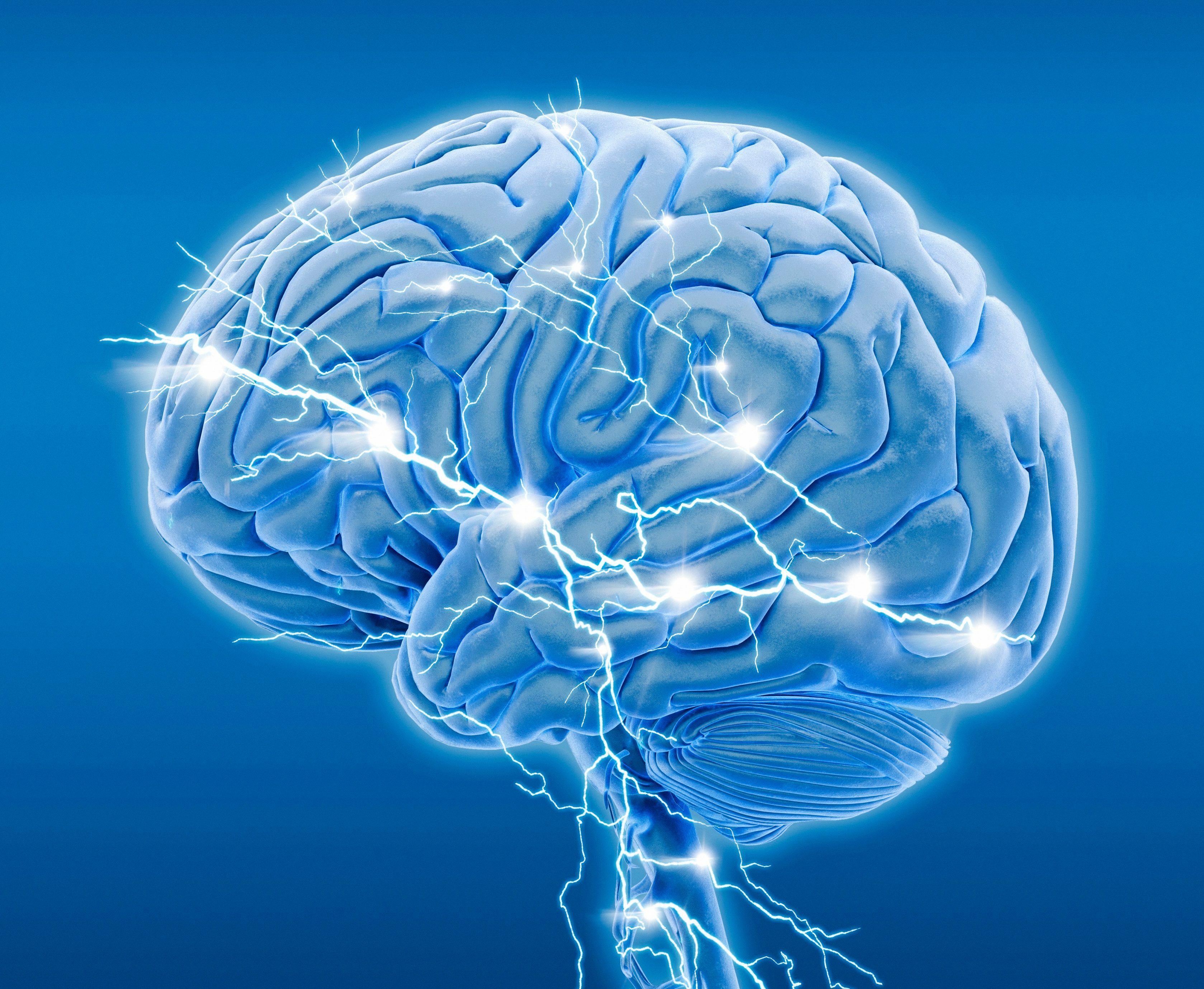 Brain Memory Brain Memory