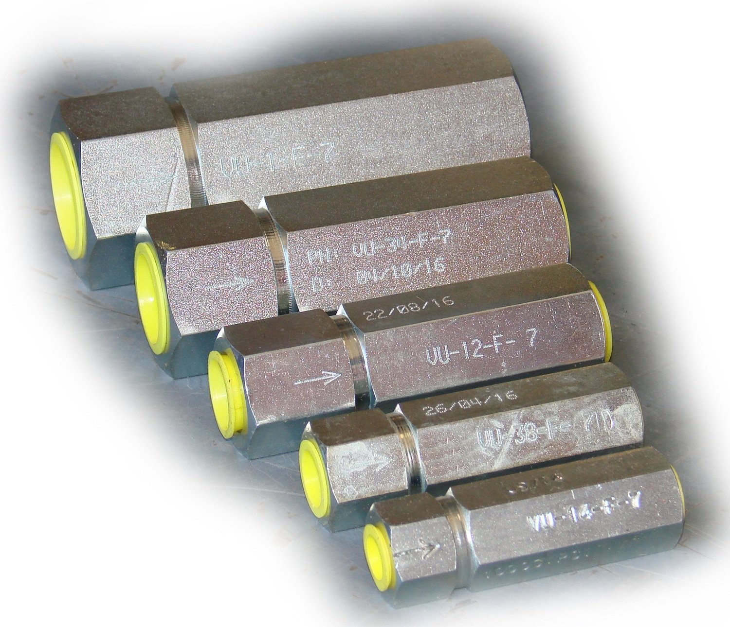 High Pressure Check Valve 1" NPT - Hydraulic Catalog - Cylinder ...