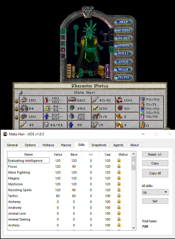 PVP Mystic Mage Macer Complete Suit + 60 Bonus Skills