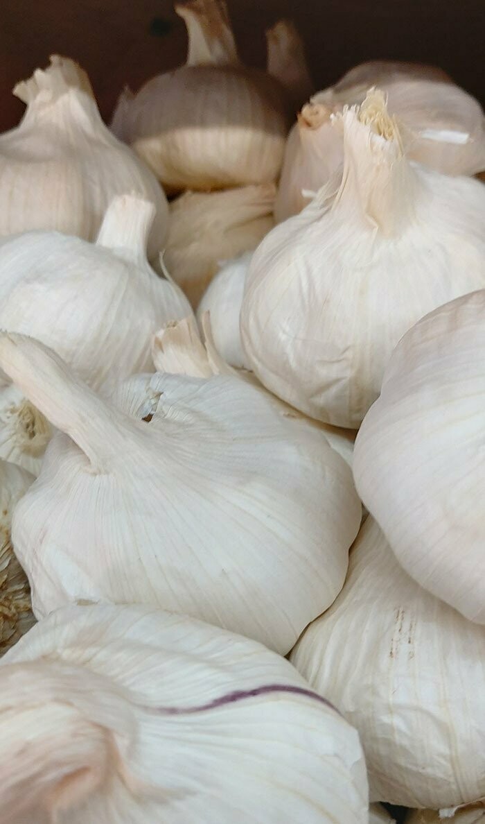Large Spanish Garlic per item