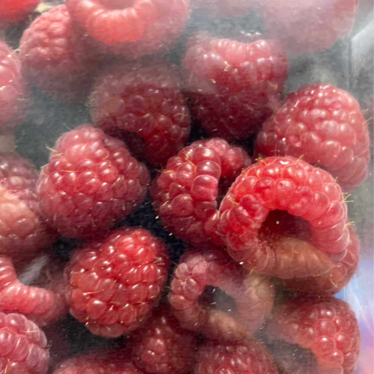 Raspberries punnet