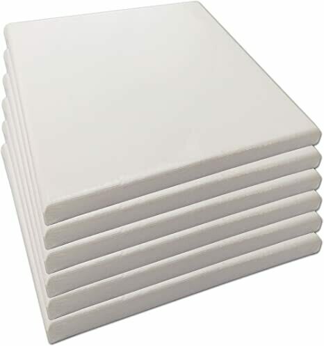 Professional 16" x 20" Stretched Canvas | Store - BrushCapades Seattle