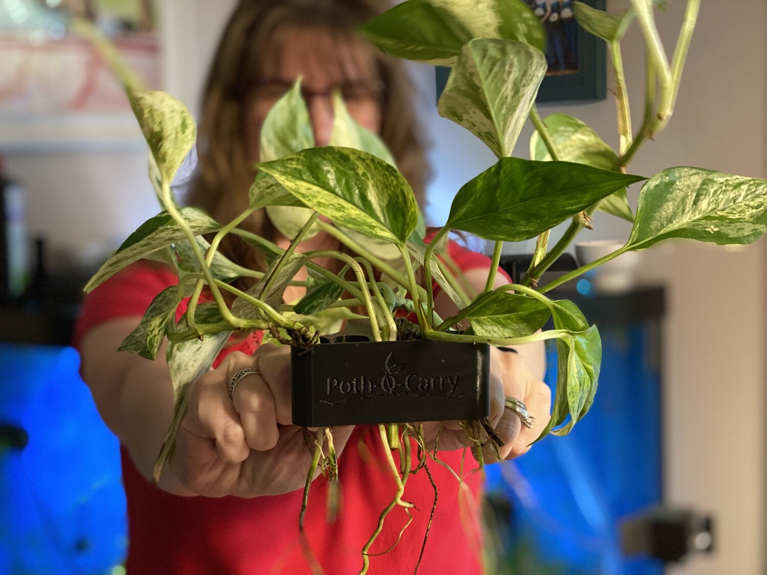 "Poth-O-Carry Original" Pothos (and other above-aquarium stalk-based ...