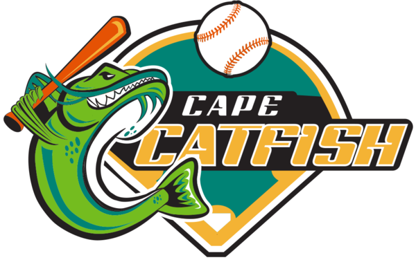 Cape Catfish