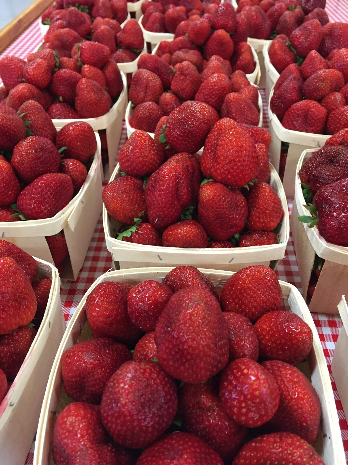 STRAWBERRIES Sold By The Quart Store STRAWBERRIES Sold By The Quart Store