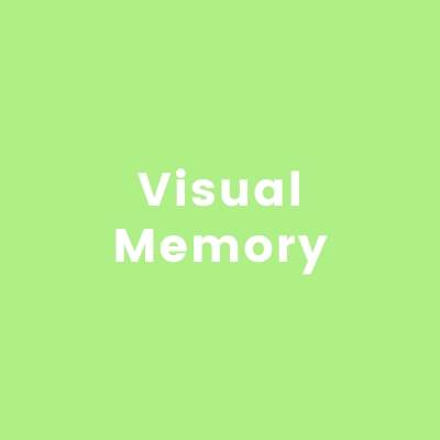 Visual Memory