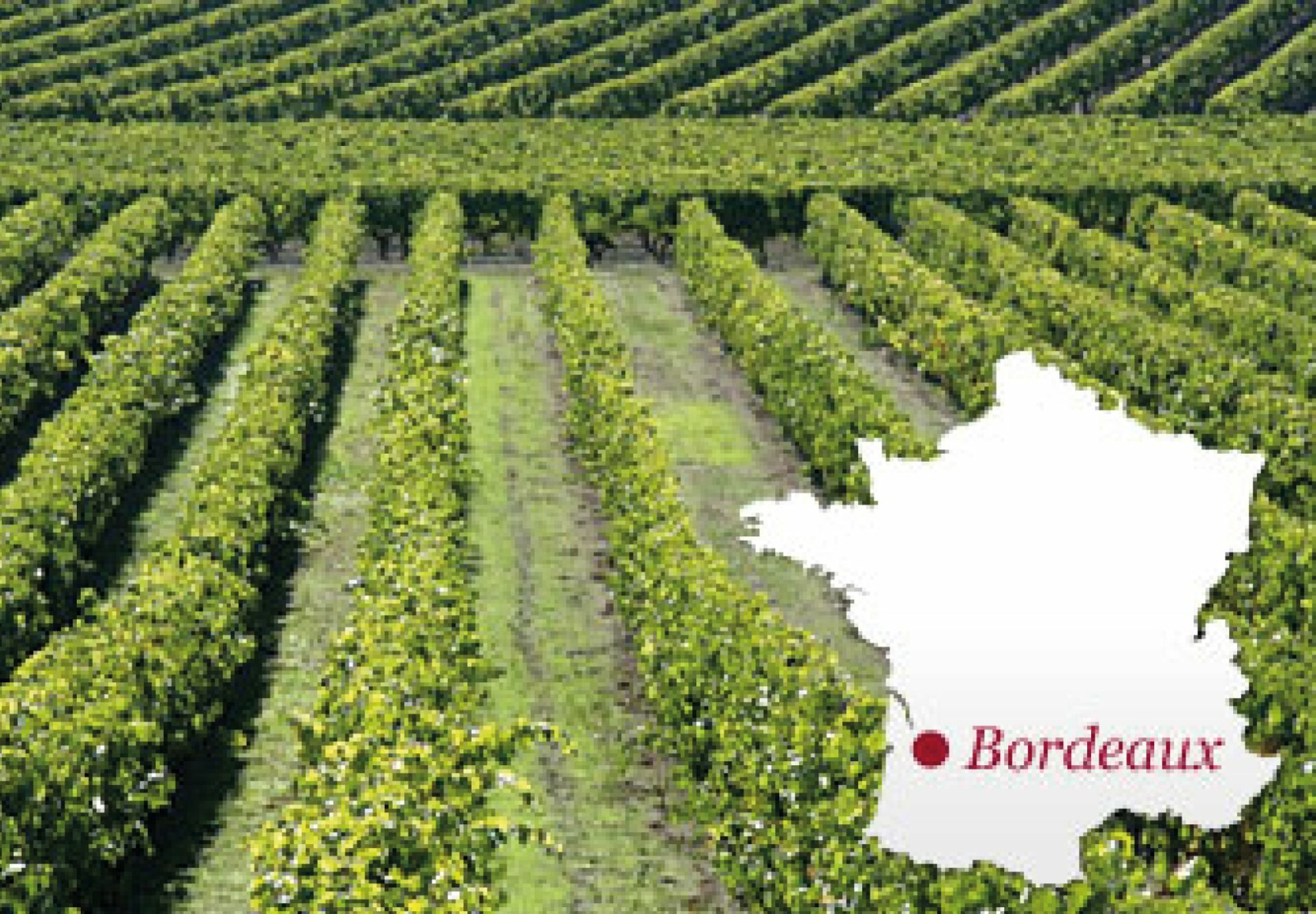 VINS DE BORDEAUX
