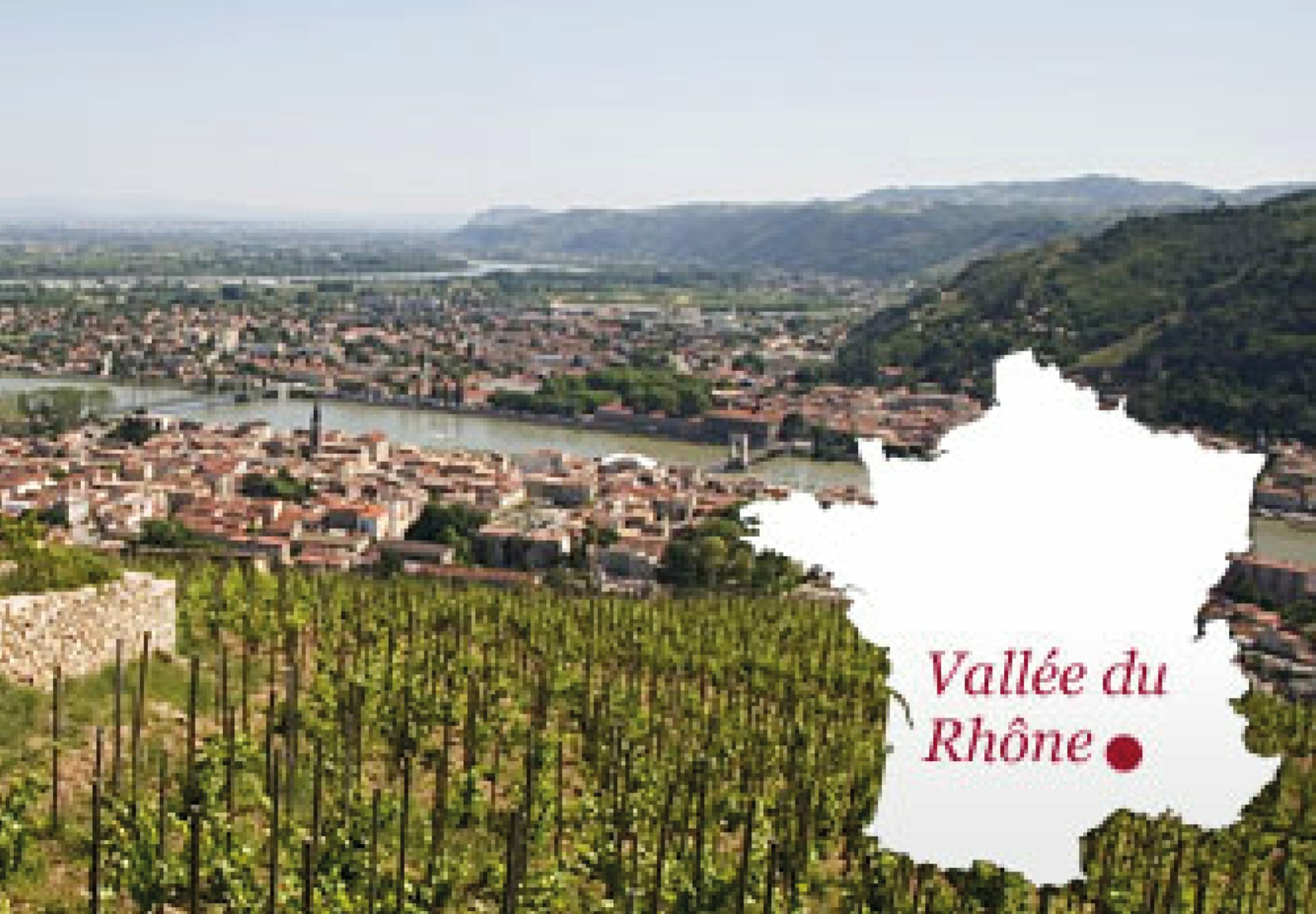 VINS DE LA VALLÉE DU RHÔNE