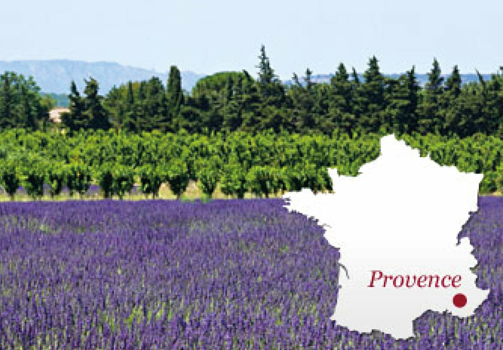 VINS DE PROVENCE
