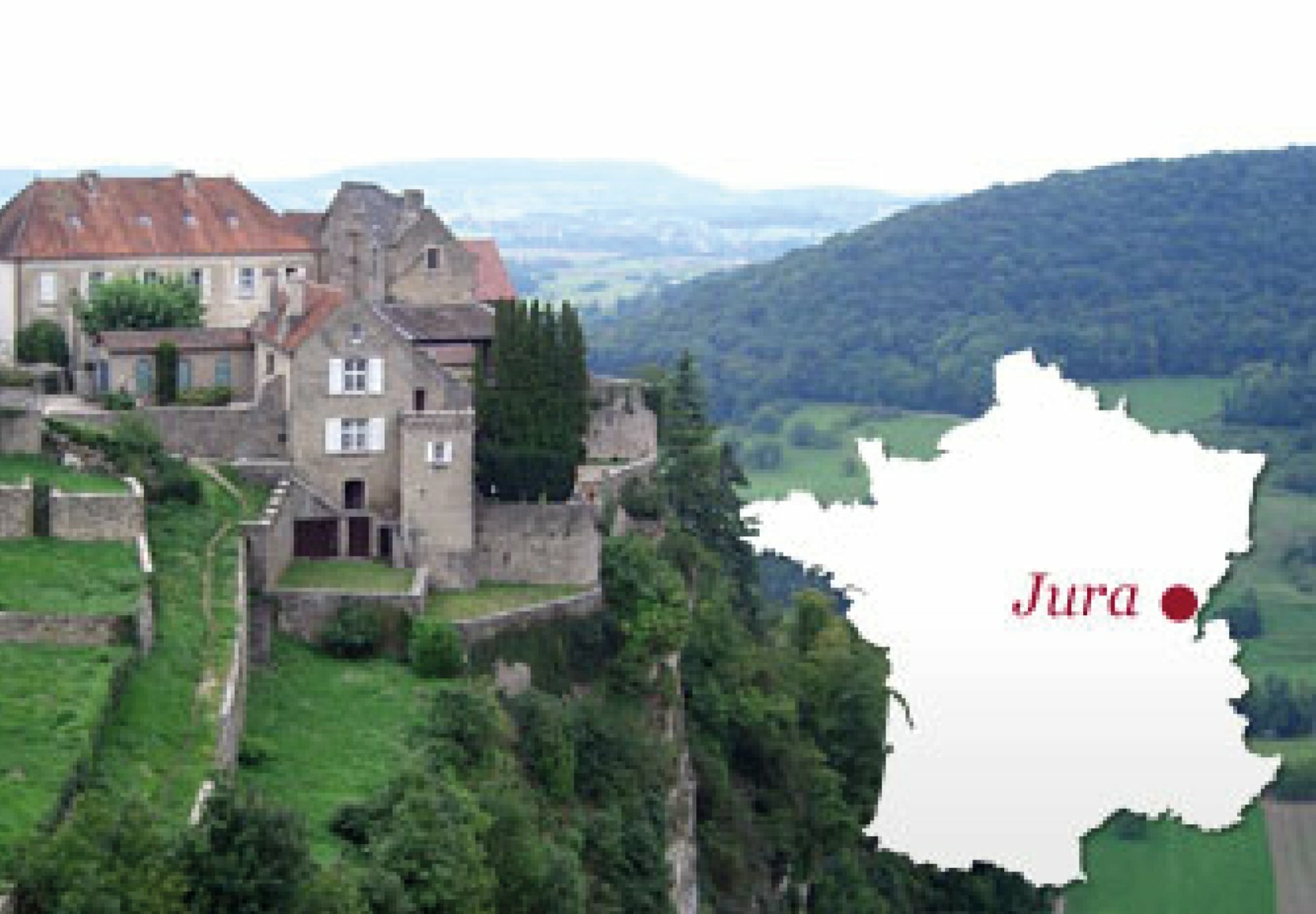 VINS DU JURA