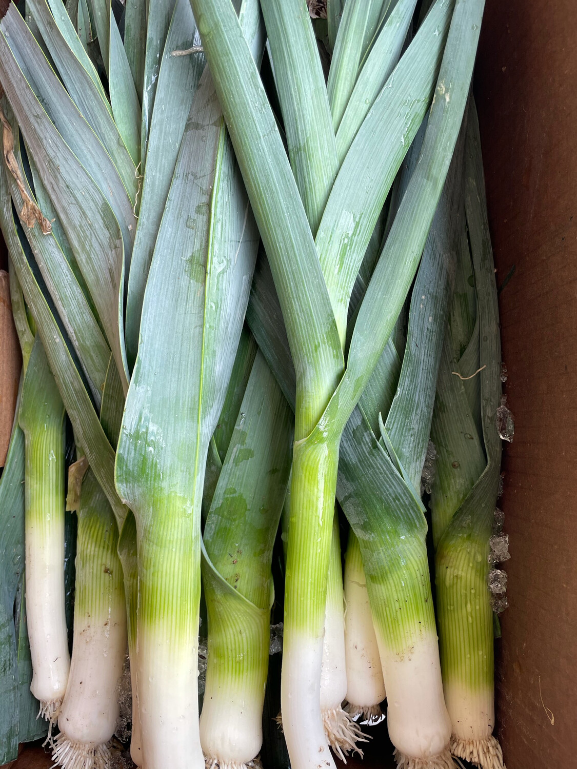 Leeks