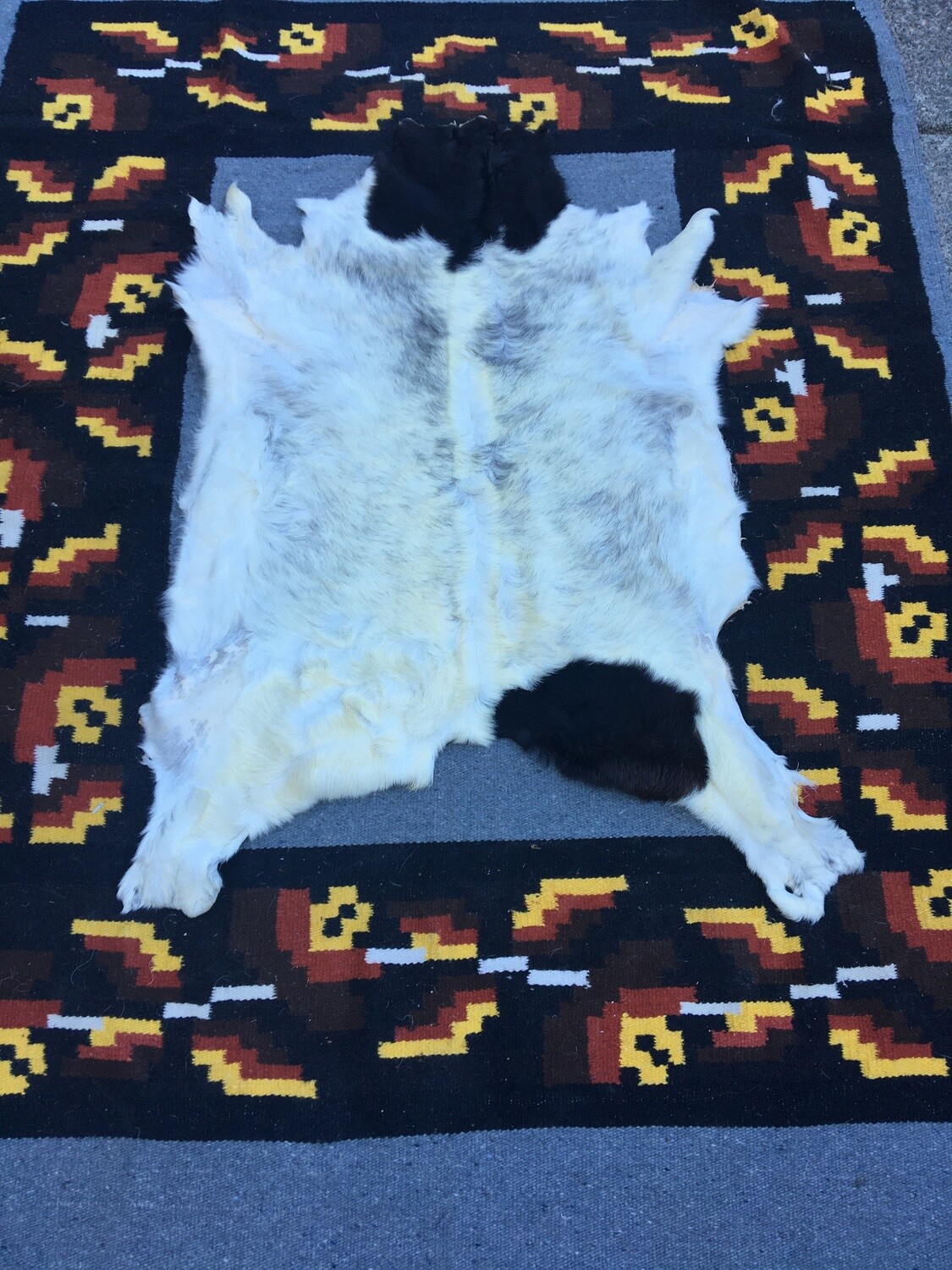 Medium Goat Hide #11