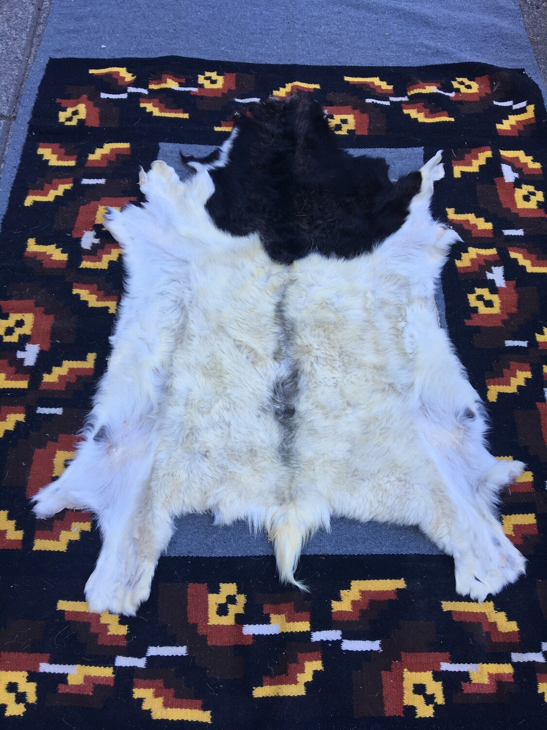 Medium Goat Hide #16