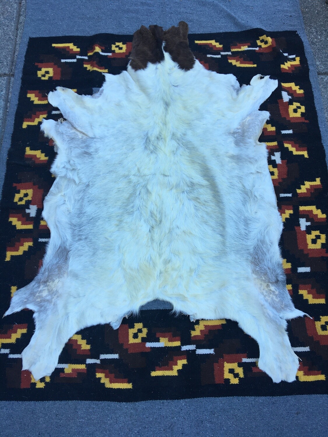 Large Goat Hide #12