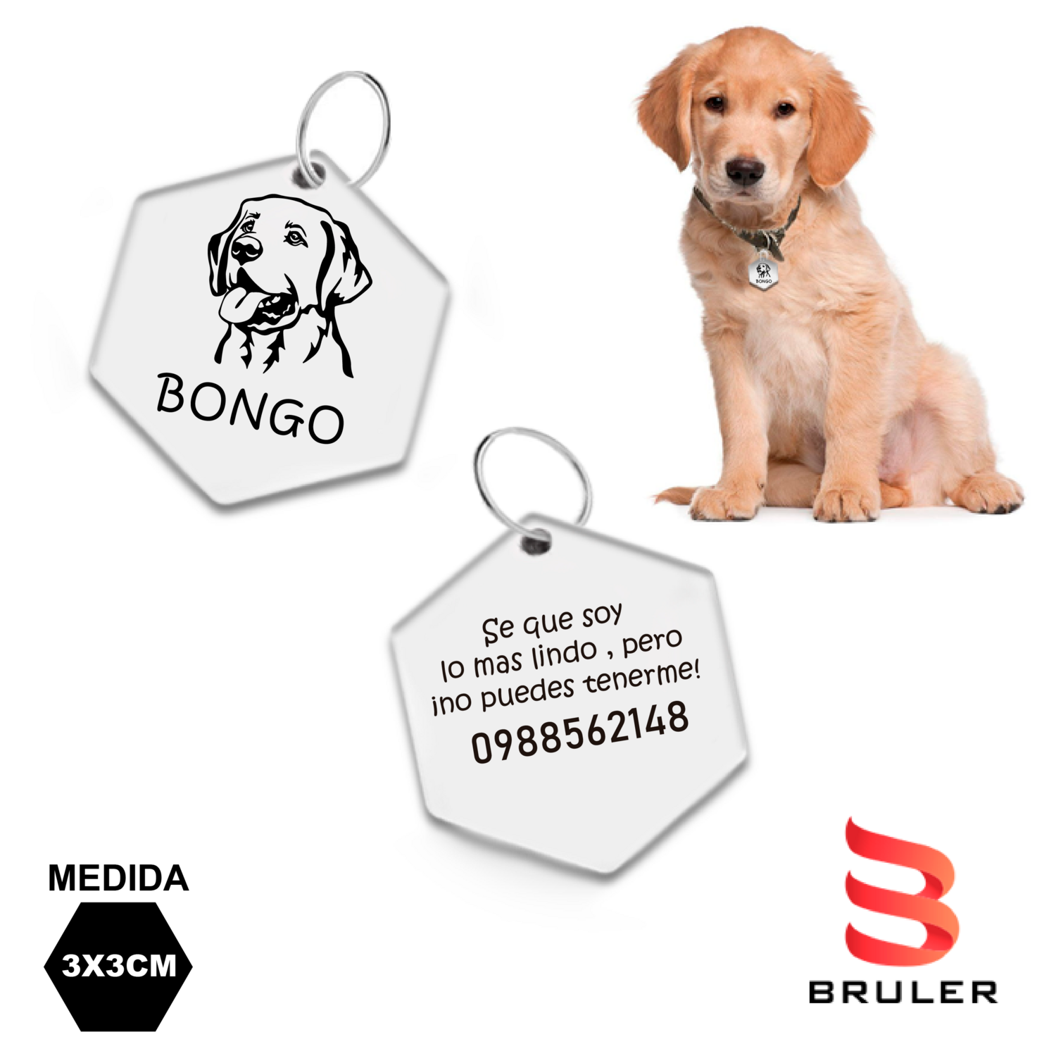 Placa de perro hexagonal acero inoxidable plateado 3x3cm – Tienda ...