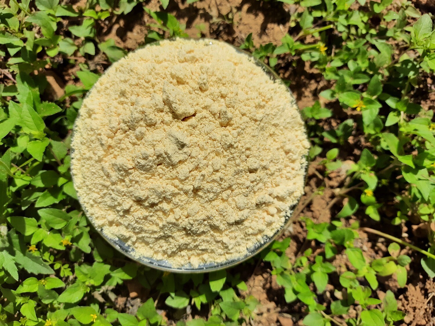 Gram Flour (Kadle Hittu)