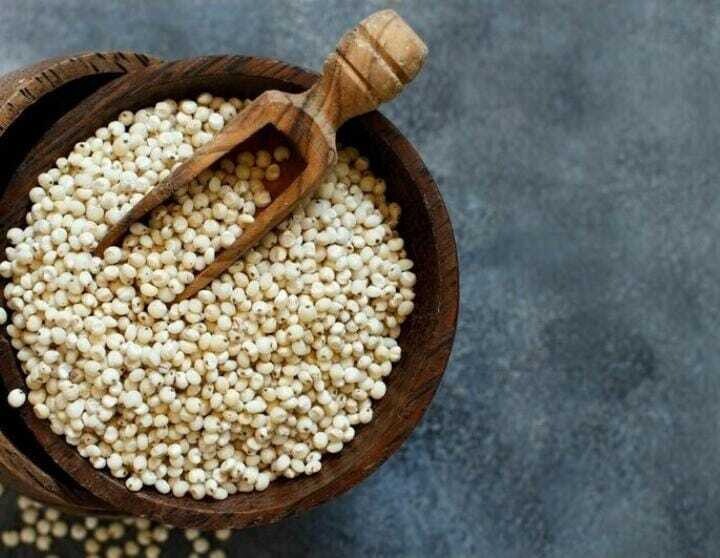 Sorghum Millet (ಜೋಳ)