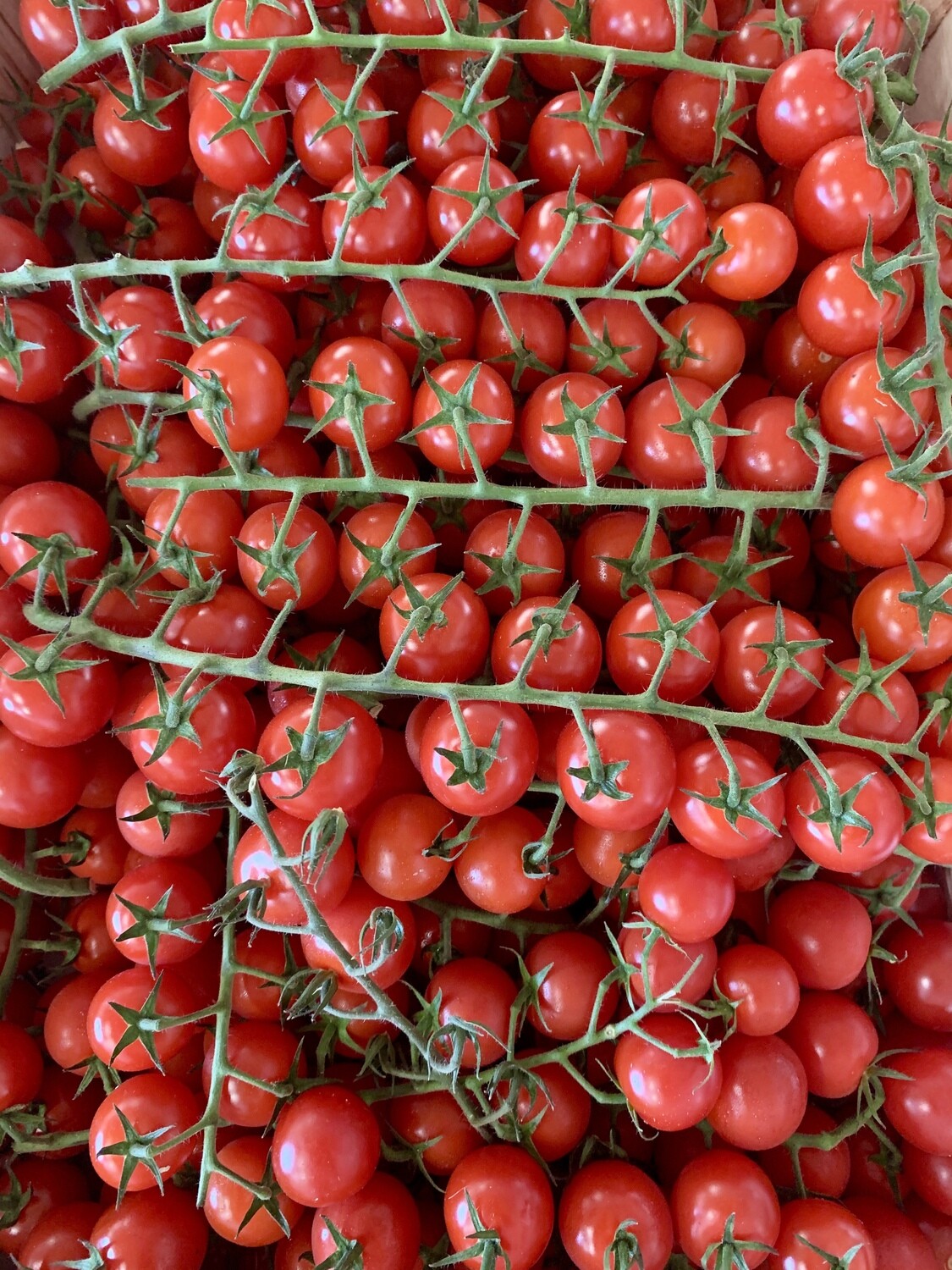 Tomate cerise grappe (le kg) | La Ferme aux Fruits