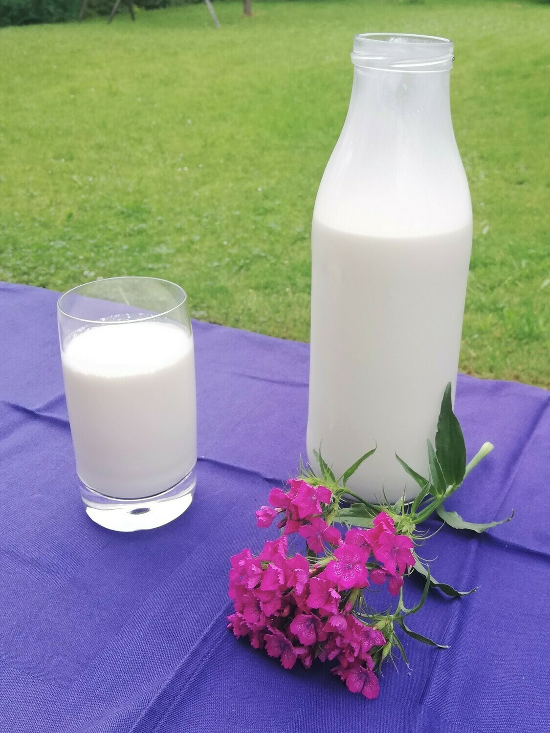 Roh Milch von der Alpe