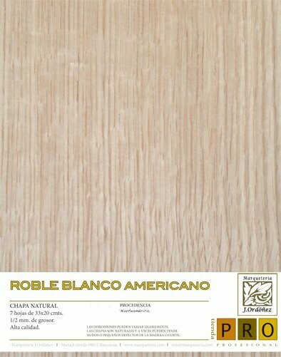 Roble blanco americano