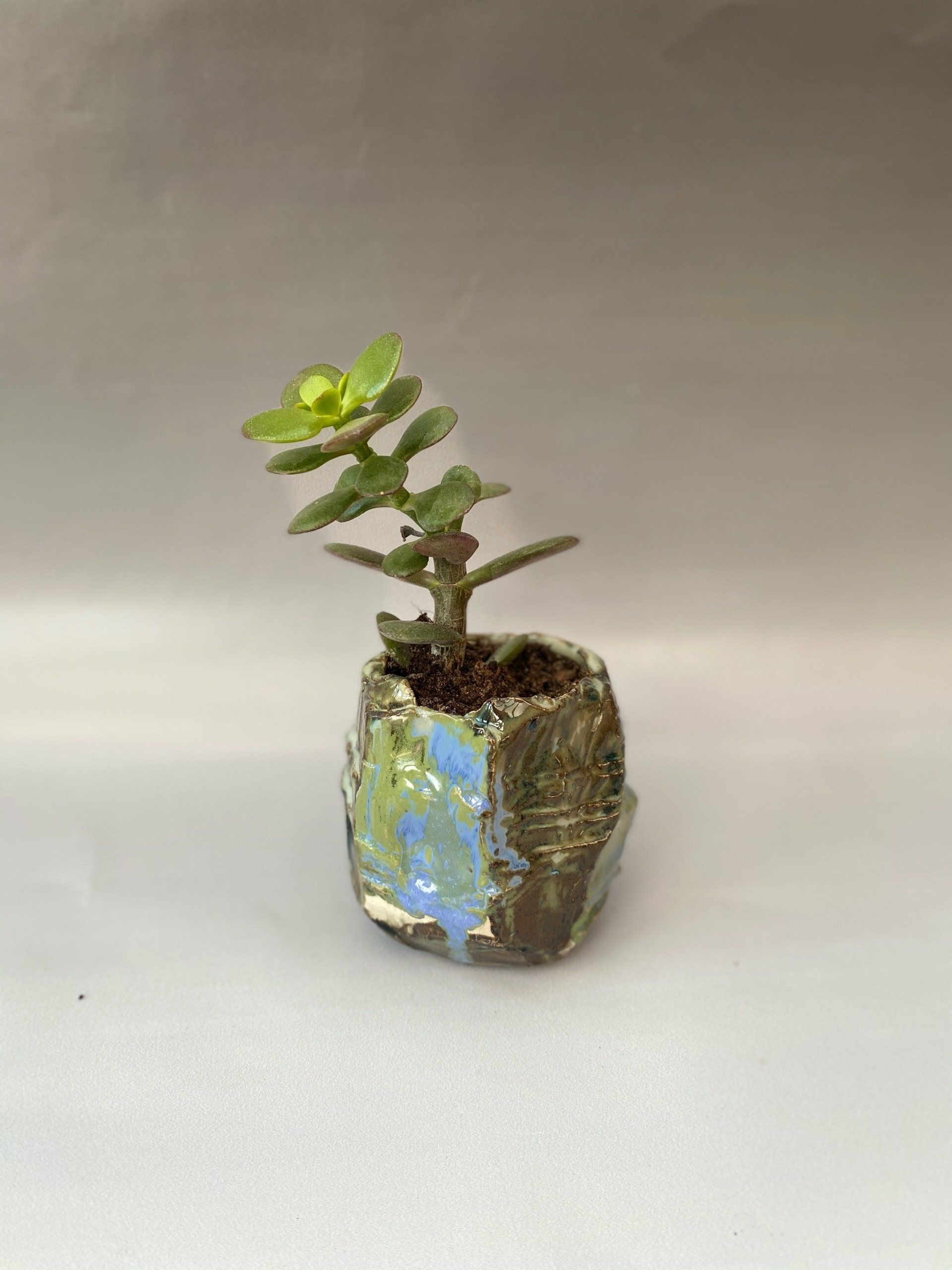 kurinuki planters and small vases