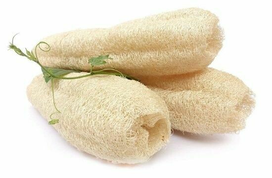 Loofah (Single Piece) – The Affordable Organic Store – Gardening Store