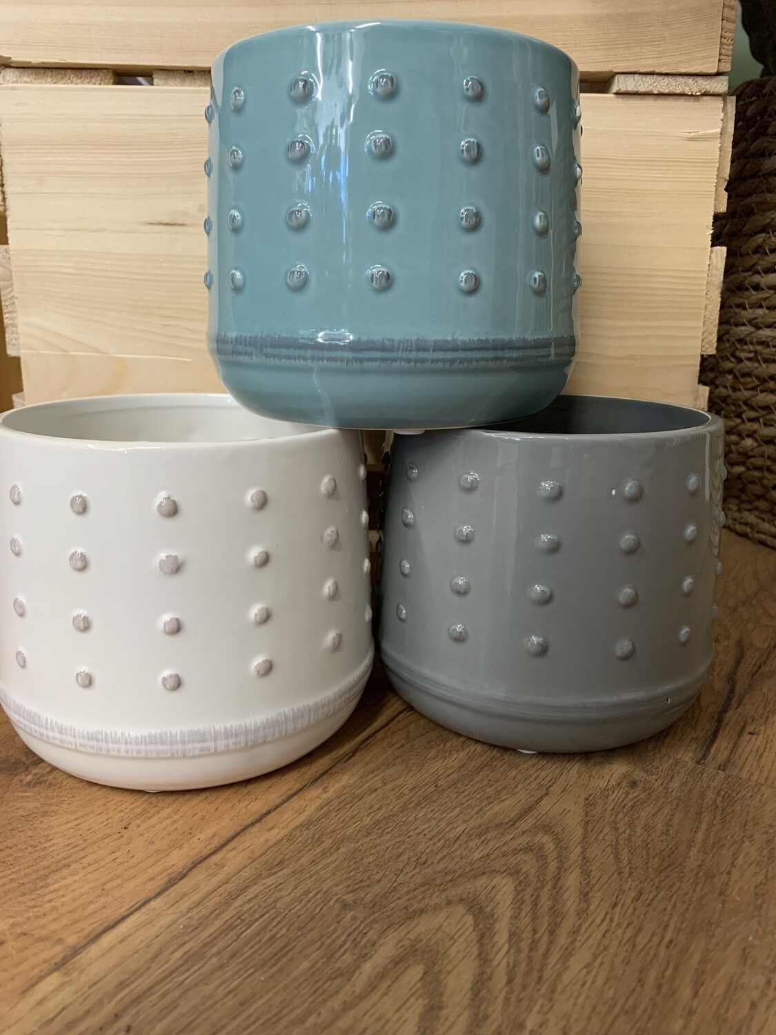 Dotted Dolomite Container 5.3"Dx4.3"H