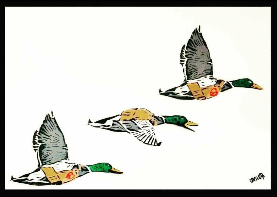 Bullet Proof Ducks Hand Sprayed Art on Bockingford Paper