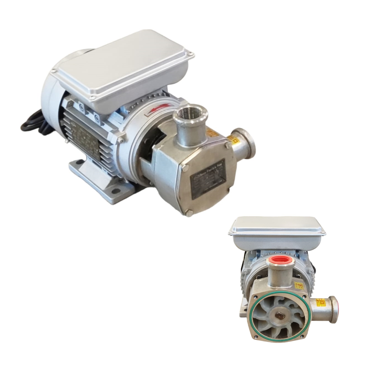 Flexible Impeller Pump