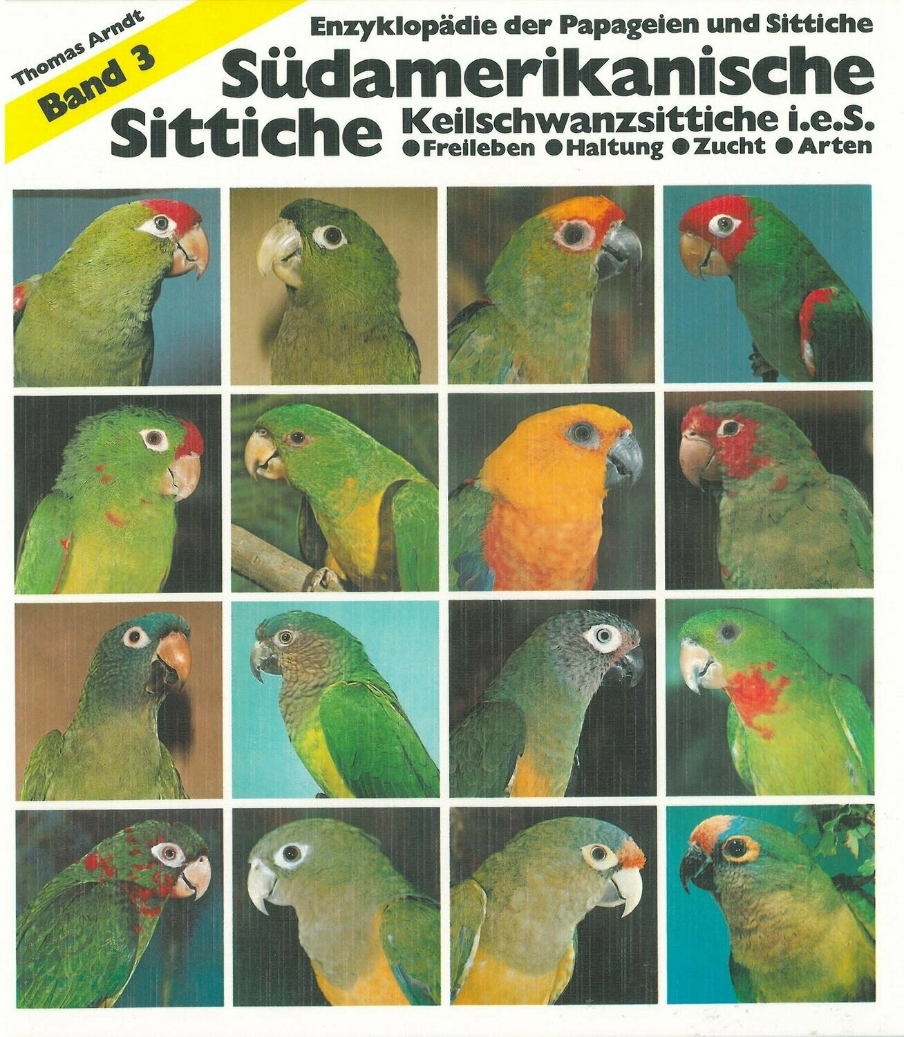 Südamerikanische Sittiche