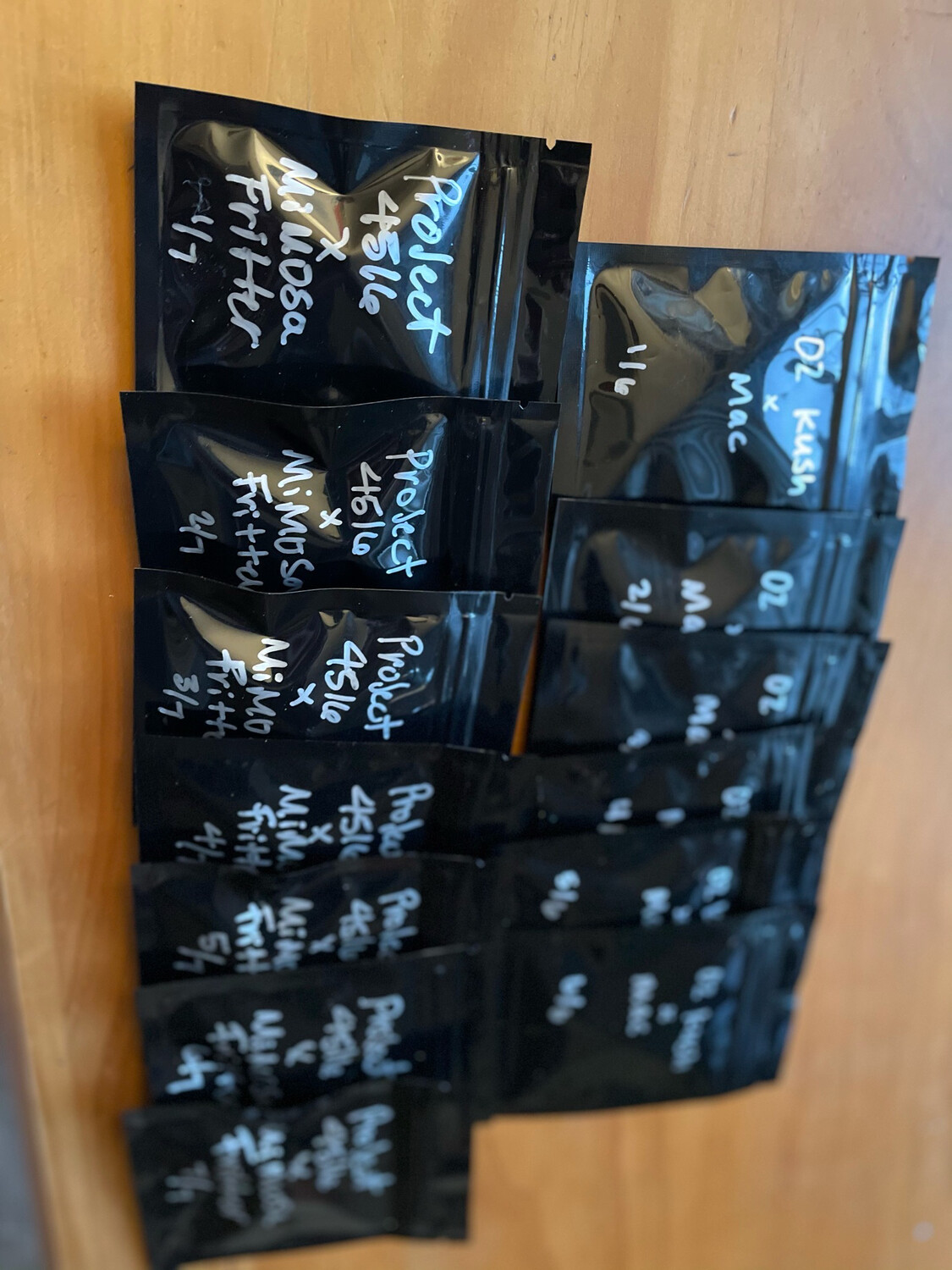 Project 4516 X Mimosa Fritter 5 Regulars Numbered /7