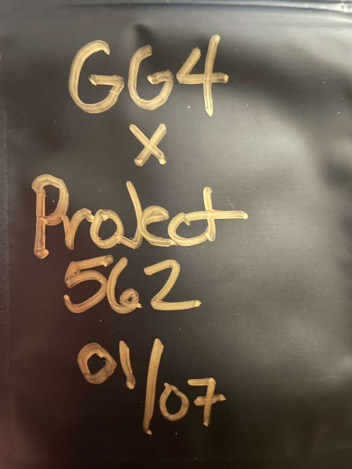 Gg4 X Project 562qty 5 Regulars /7