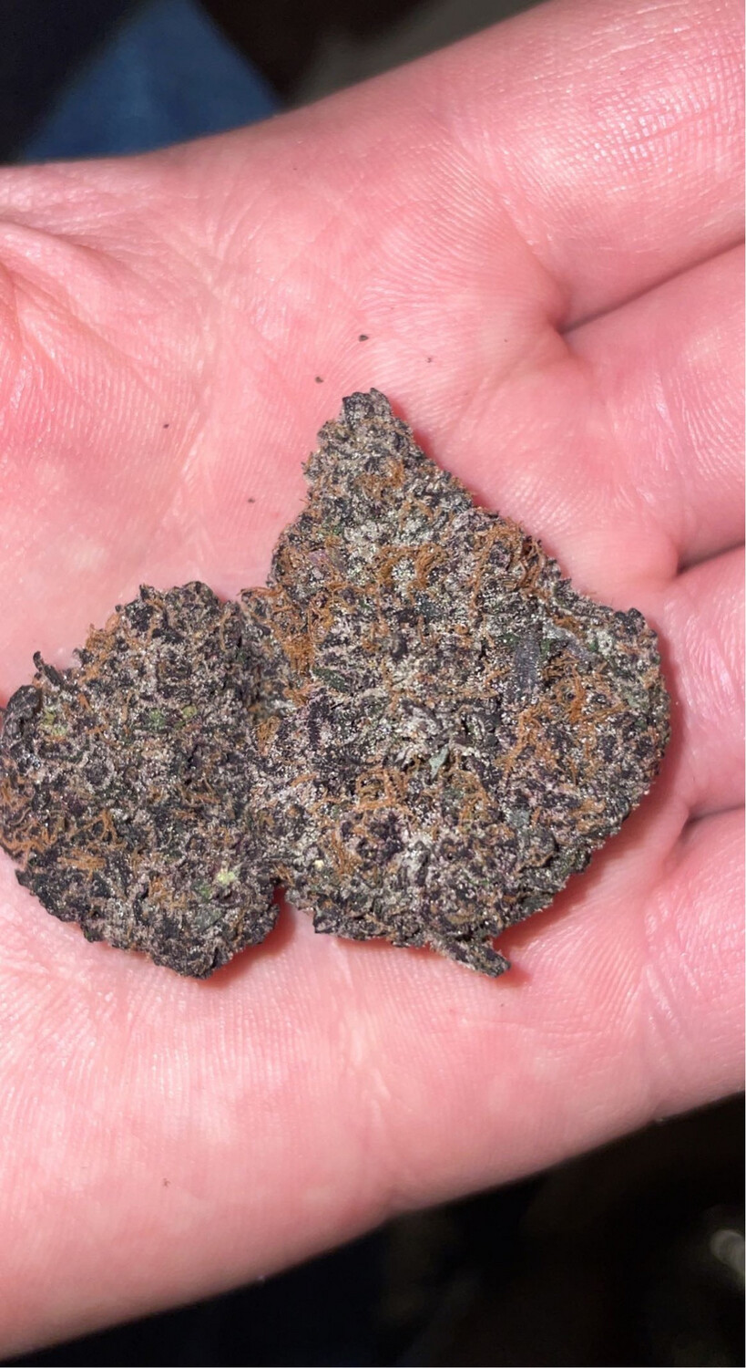 Oreoz X Platinum Lemons Qty 5 Regulars