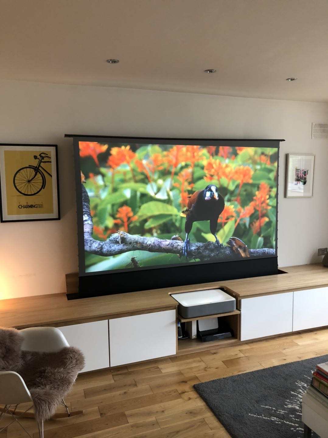 Screen and Projector Package