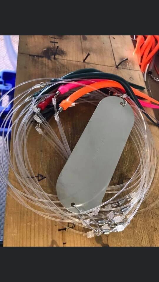 Complete Diveboard Traces