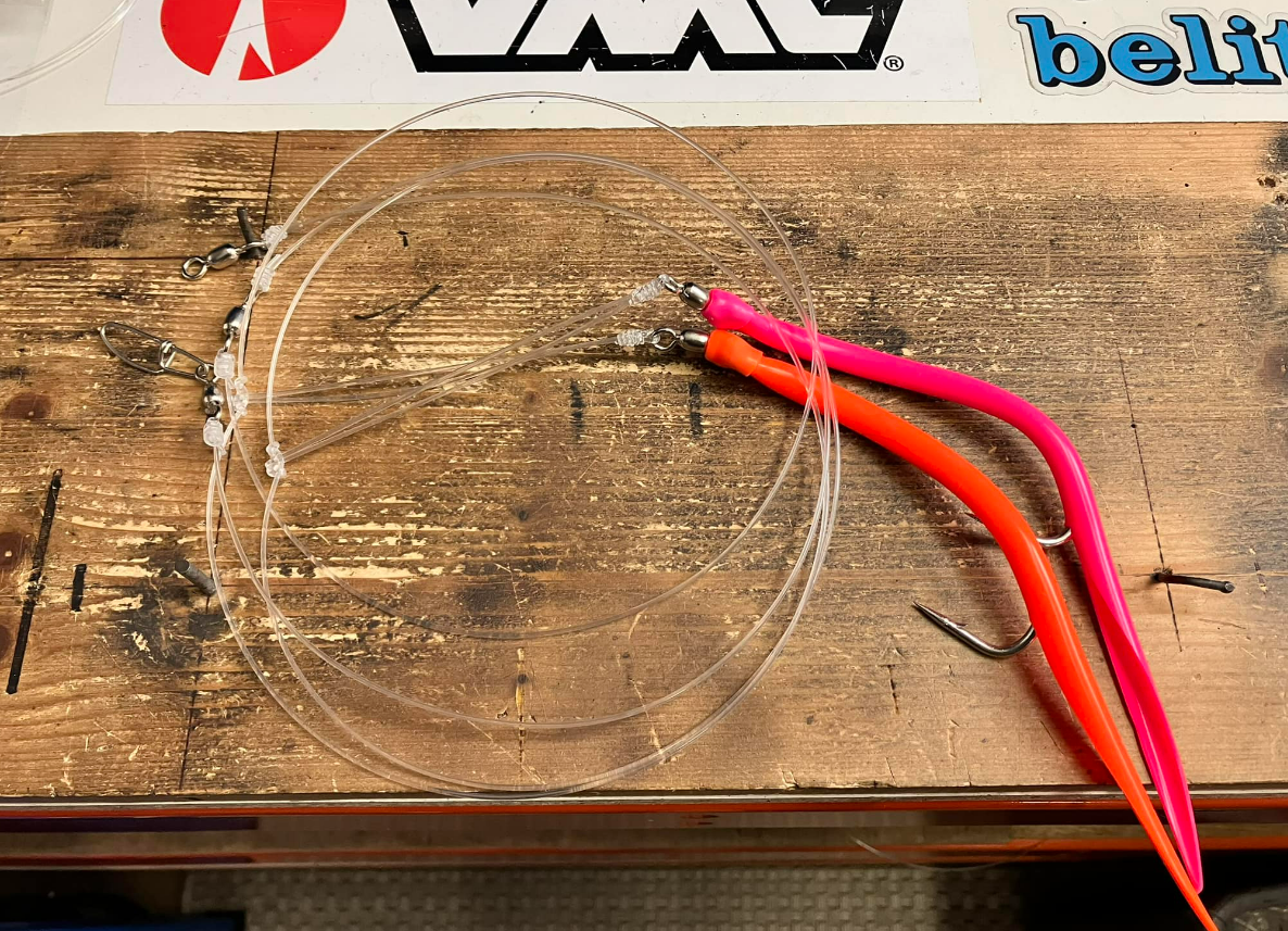 Pollack / Coalfish / Cod