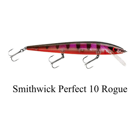 SMITHWICK P10 Fishing Lure - Store - Smokeys On The Bay Shop