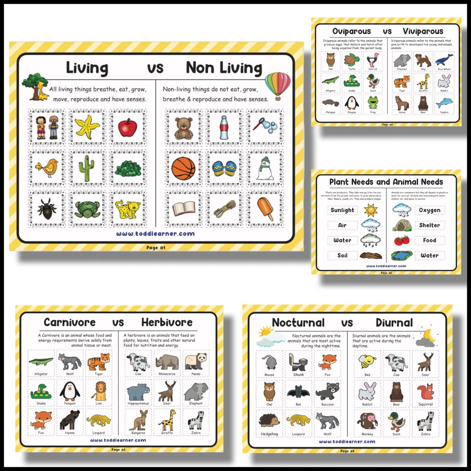 Life Science Learning Binder - Level 1