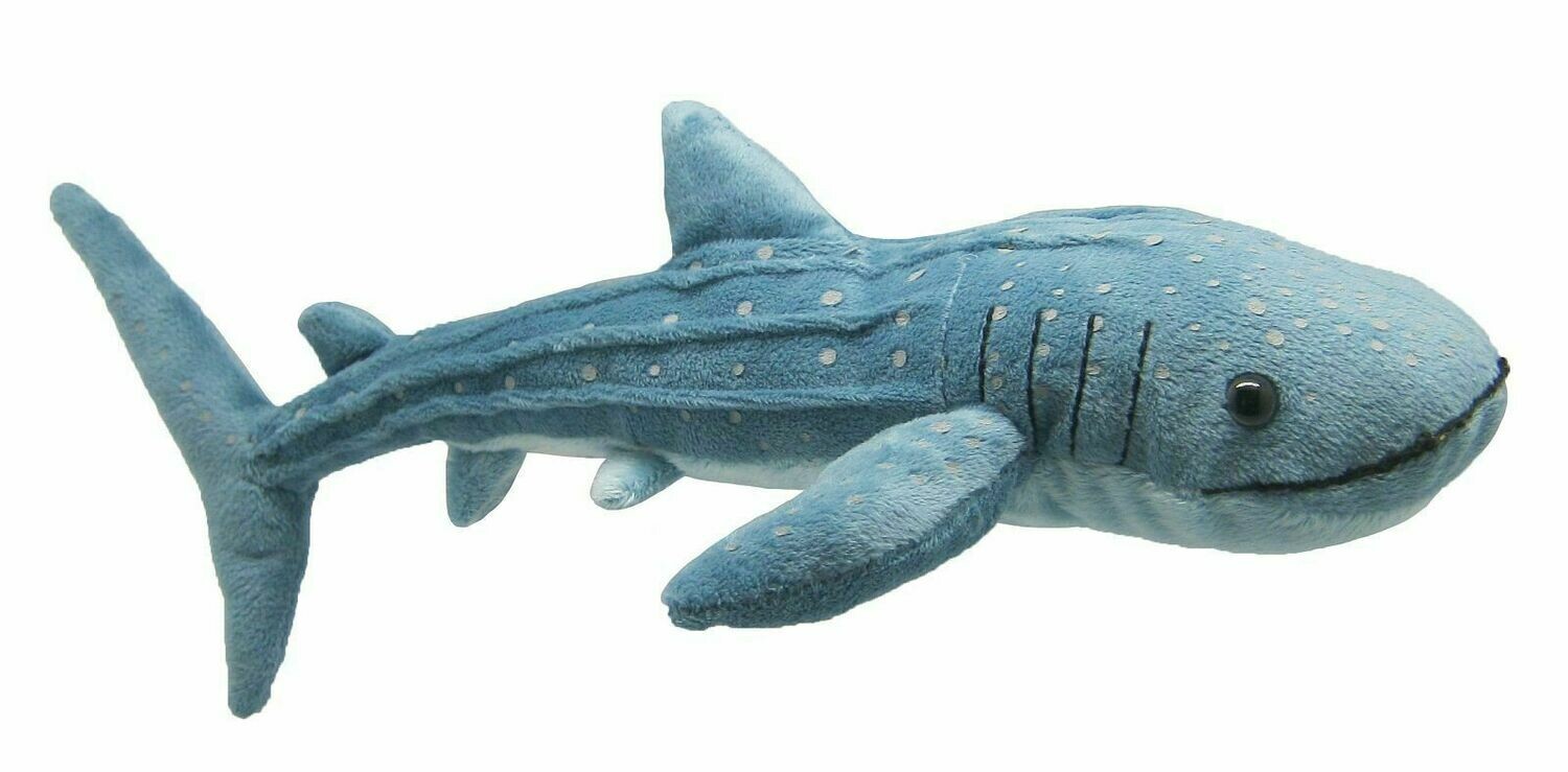 Walhai - All About Nature