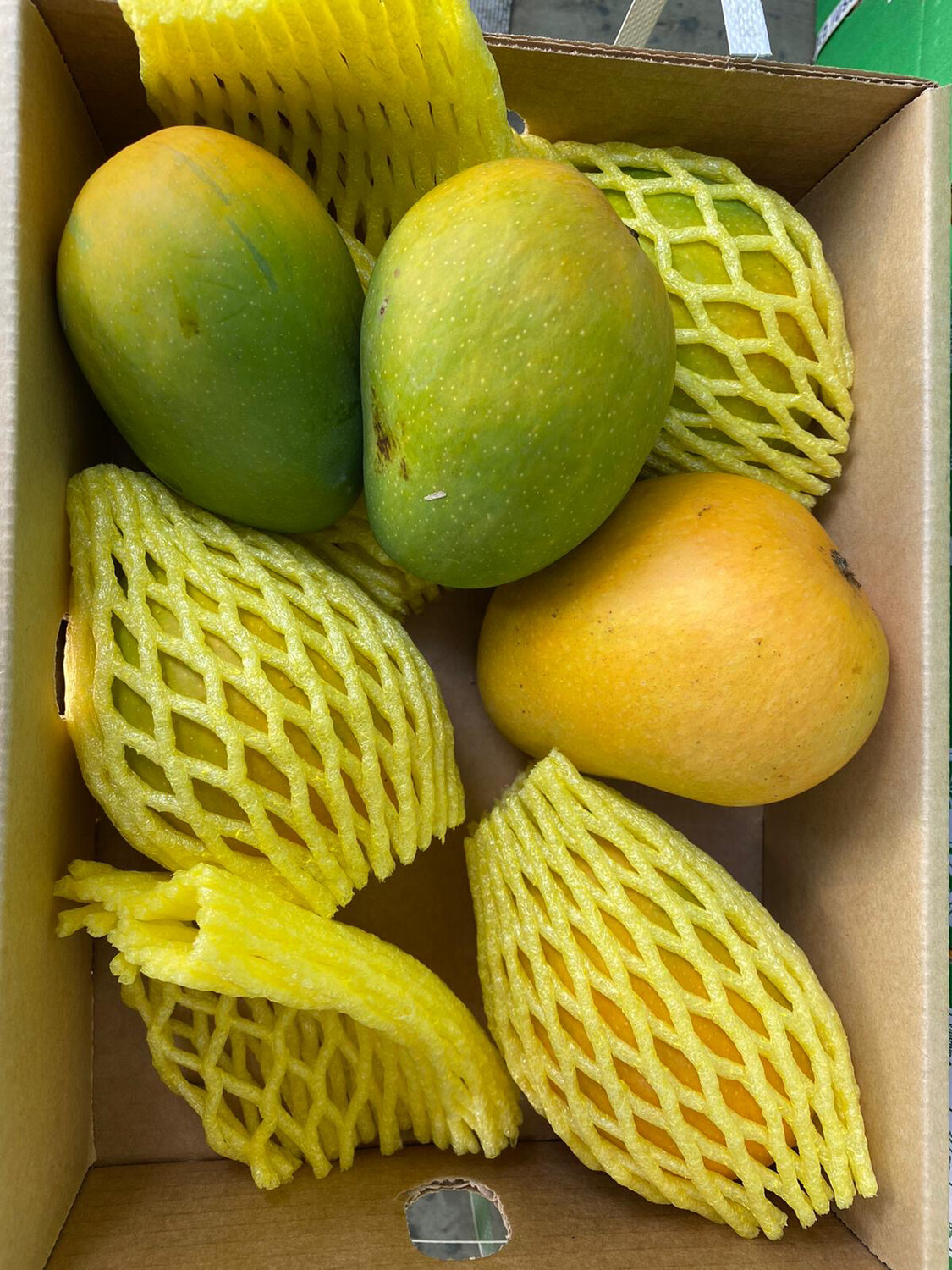 FRESH INDIAN ALPHONSO MANGO 6 PC 1,2- 1,4KG