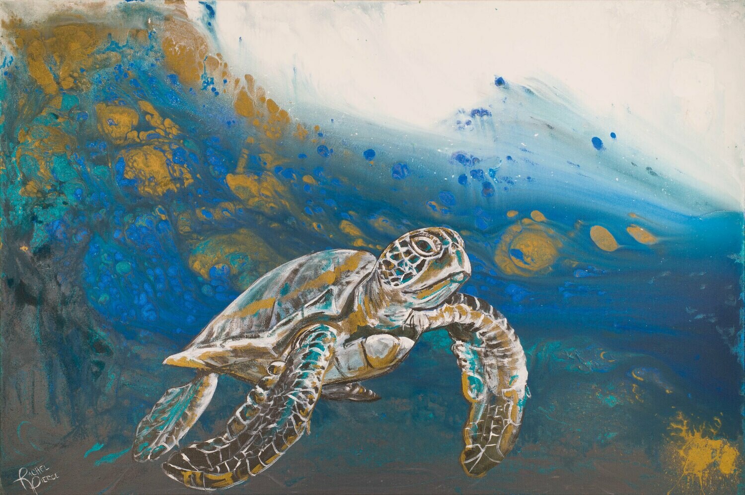 Deep Water Sea Turtle print – Sea Turtle Art by Rachel Pierce
