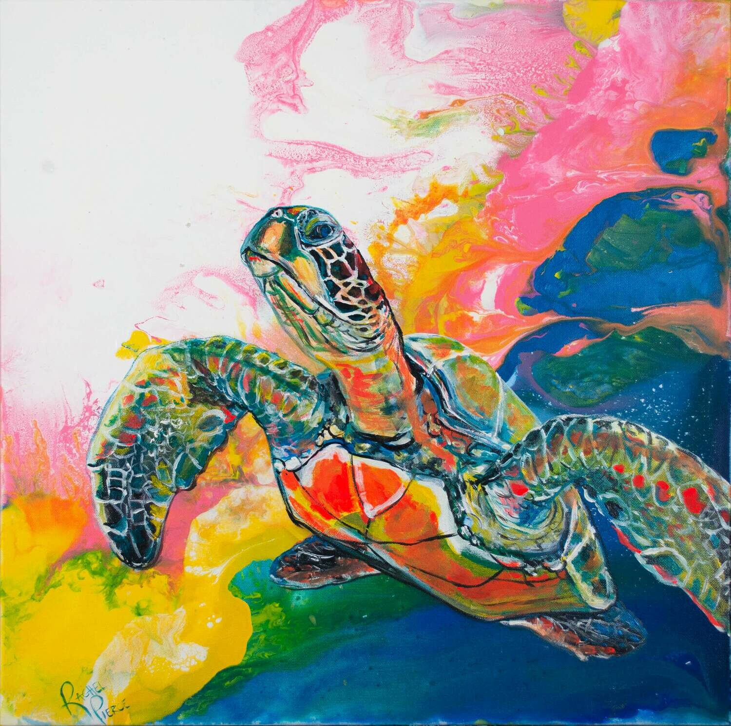 Electric Space Turtle 2 – Tropical Art by Rachel Pierce