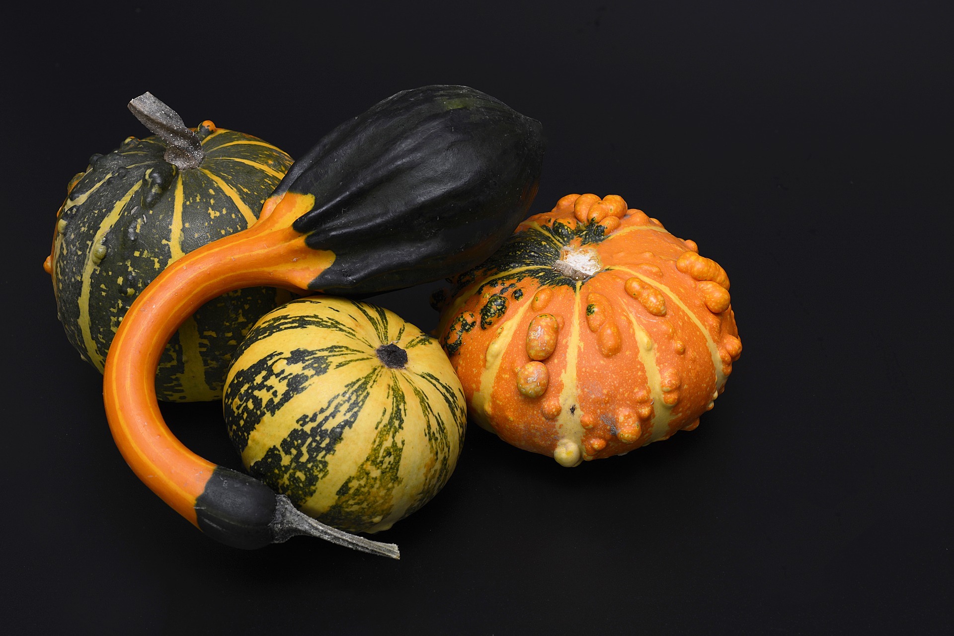 Gourds