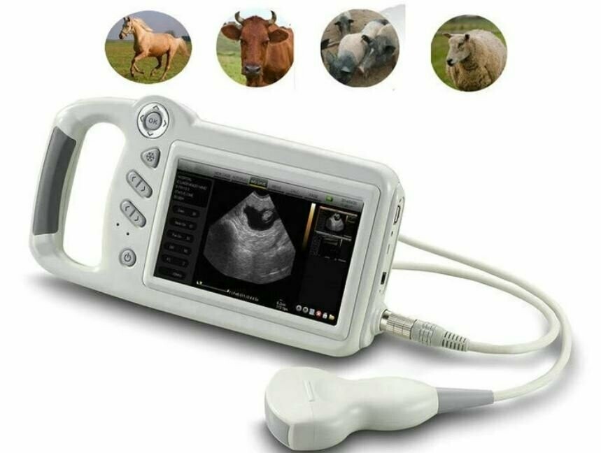 Farmscan L80 Compact Touch Screen Veterinary Ultrasound Scanner