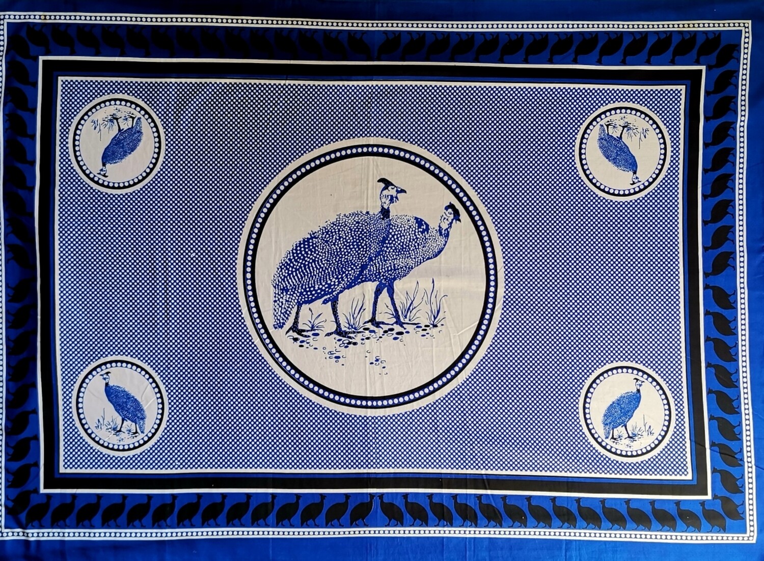 Blue impangela (guineafowl)