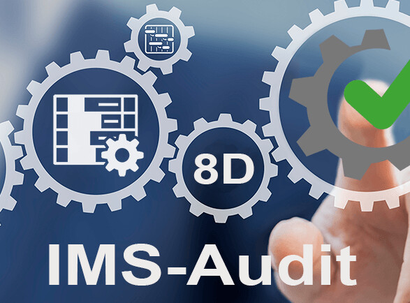 IMS-Audit Lite