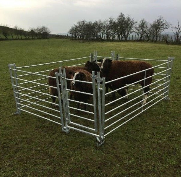 Sheep Pen Sets