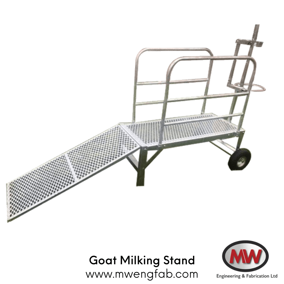 Goat Milking Stand