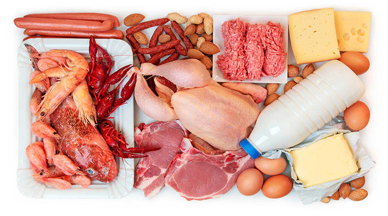 Carnes Huevos y Lacteos